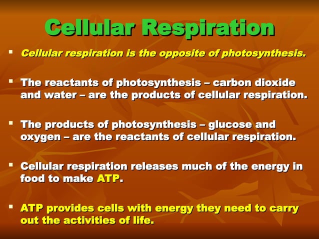 BIO UNIT Photosynthesis-Cellular Respiration shortversion.ppt