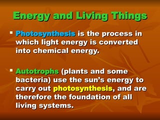 BIO UNIT Photosynthesis-Cellular Respiration shortversion.ppt