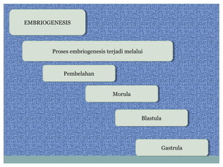 BIOUnnes_Blastulasi | PPT