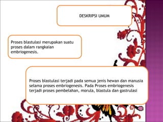 BIOUnnes_Blastulasi | PPT