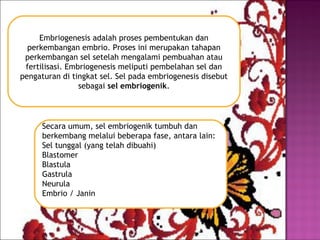 BIOUnnes_Blastulasi | PPT
