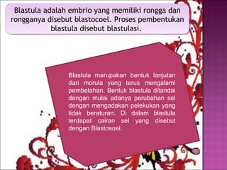 BIOUnnes_Blastulasi | PPT