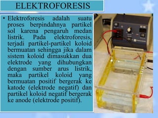 BIOUnnes_Elektroforesis | PPTX
