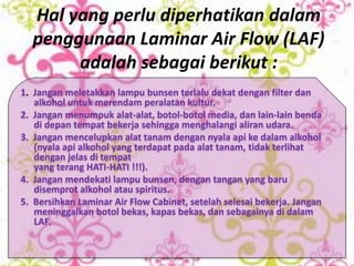 BIOUnnes_Lamina air flow (LAF) | PPTX