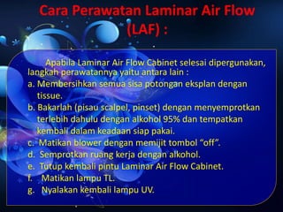 BIOUnnes_Lamina air flow (LAF) | PPTX