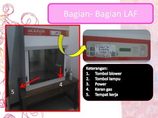 BIOUnnes_Lamina air flow (LAF) | PPTX