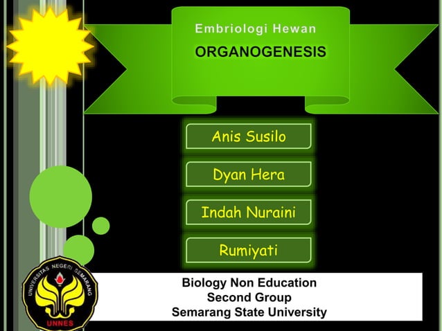 BIOUnnes_Organogenesis | PPT