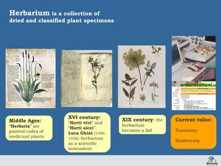 Bioversity International Herbarium Project | PPT | Gardening | Home & Garden