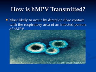 Max's Bio virus project | PPT