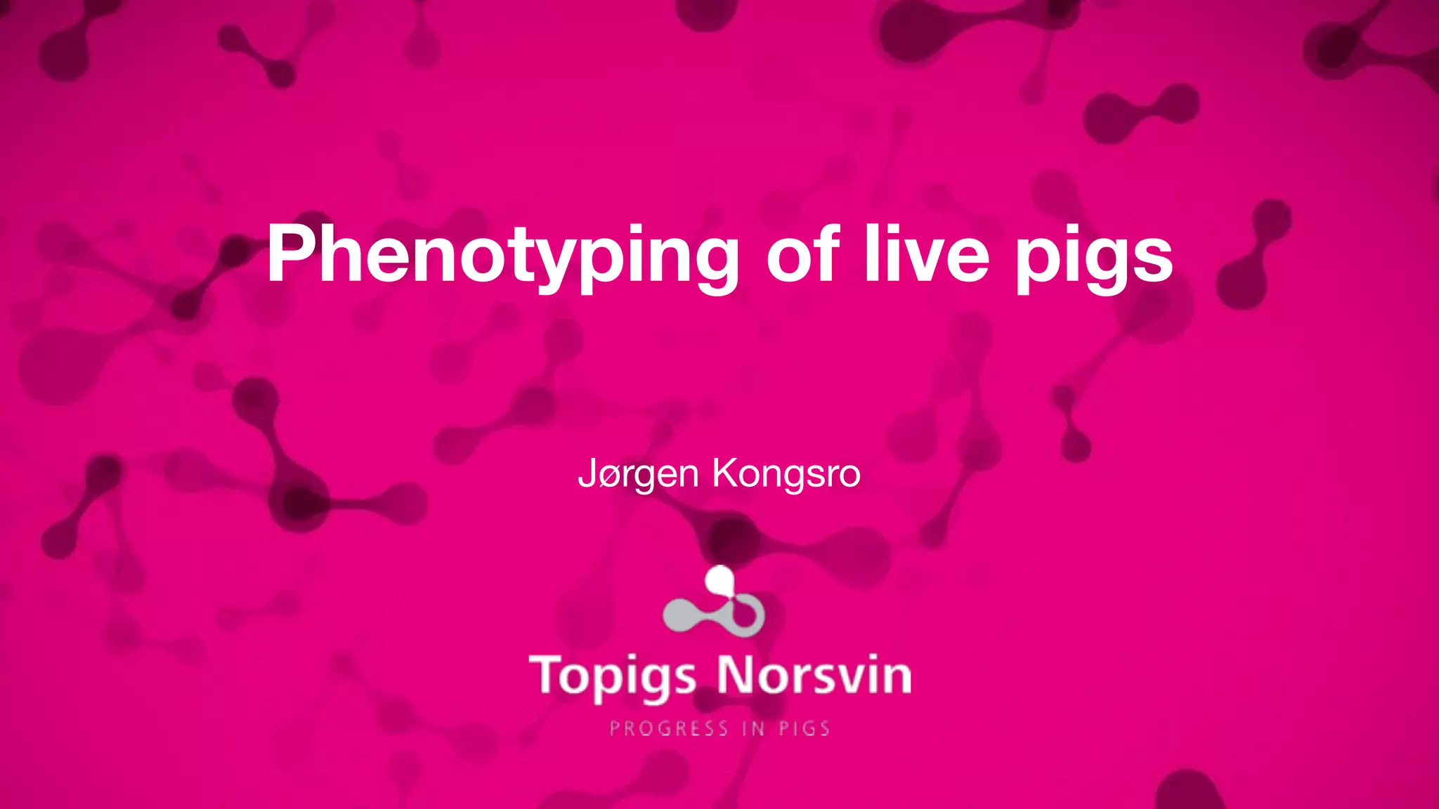 Phenotyping of live pigs | PDF