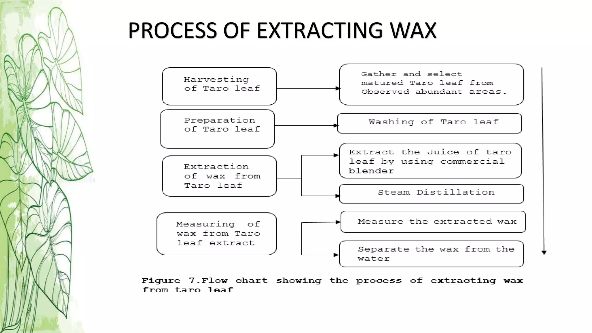 biowax2.pptx