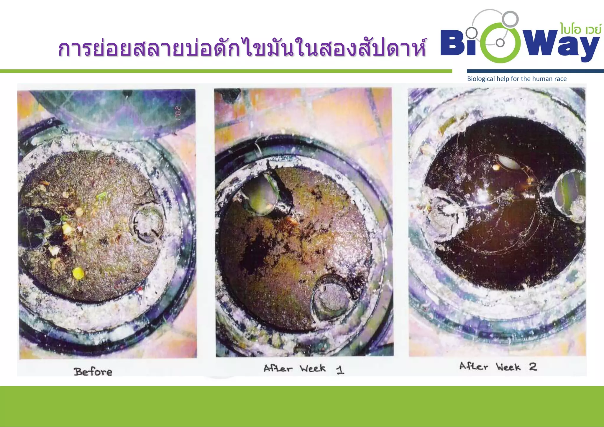 Bioway thai | PPT