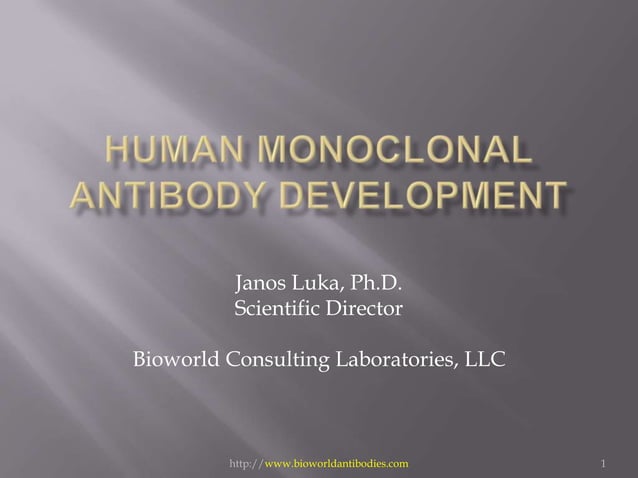 Human monoclonal antibody development | PPT