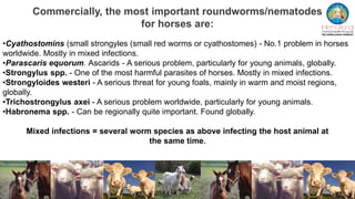 BioWorma | PPTX