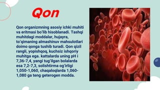 Bioximiya. Qon biokimyosi. [Автосохраненный].pptx