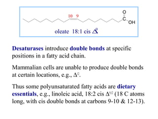 Biosynthesis of fatty acids --Sir Khalid (Biochem) | PPT