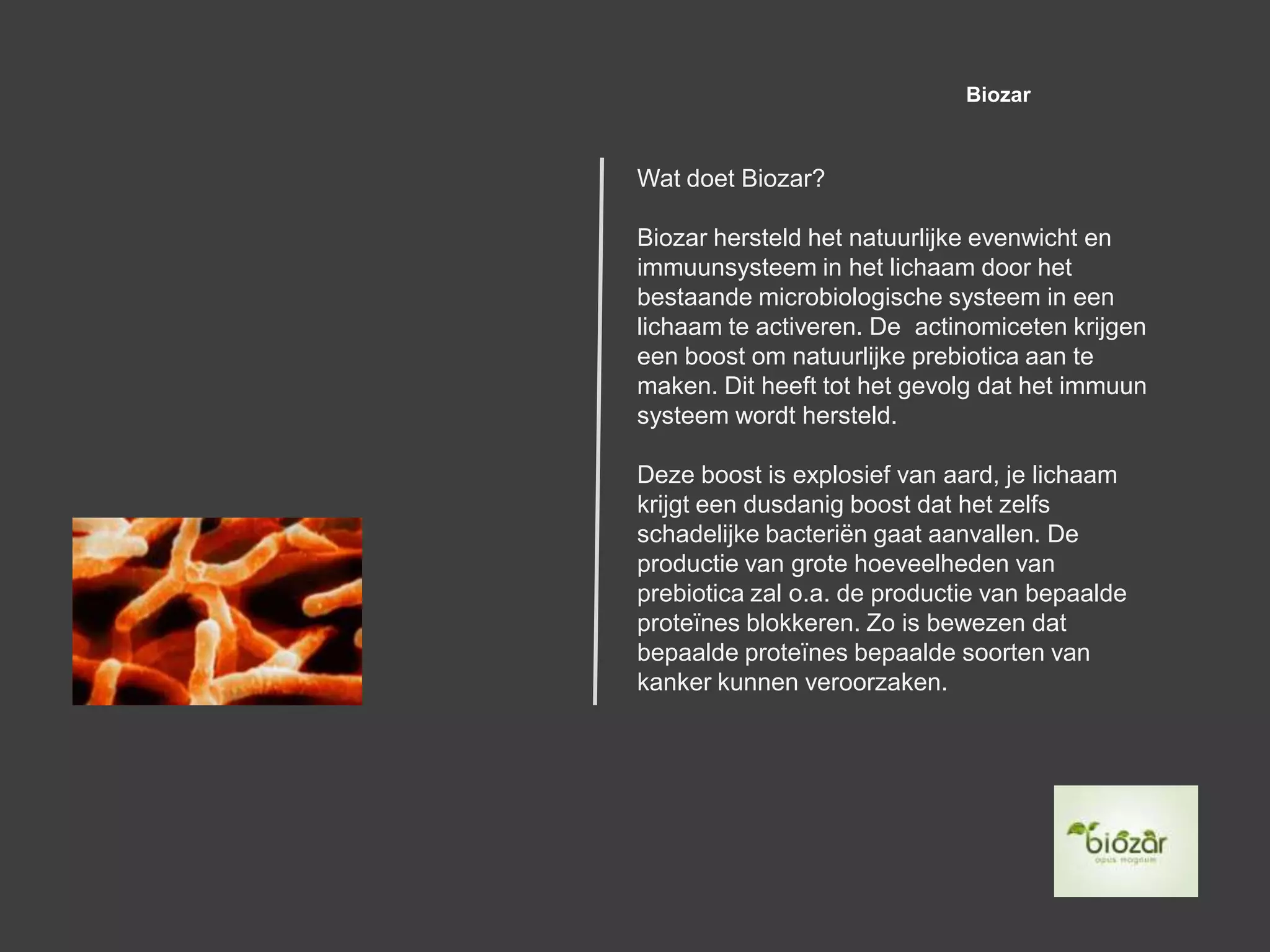 Biozar presentation ned | PPTX