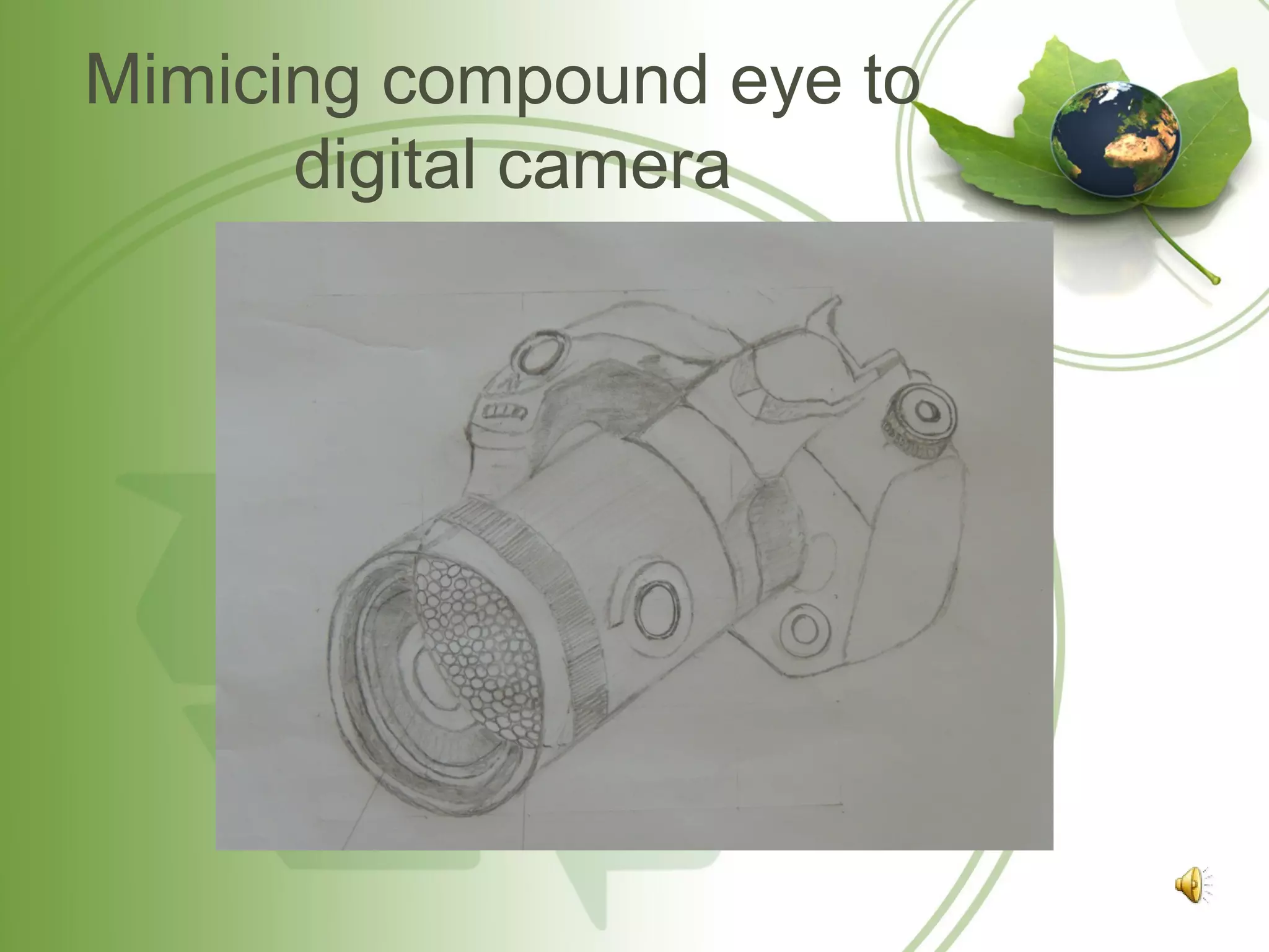 Biomimicry of Abedus Herberti