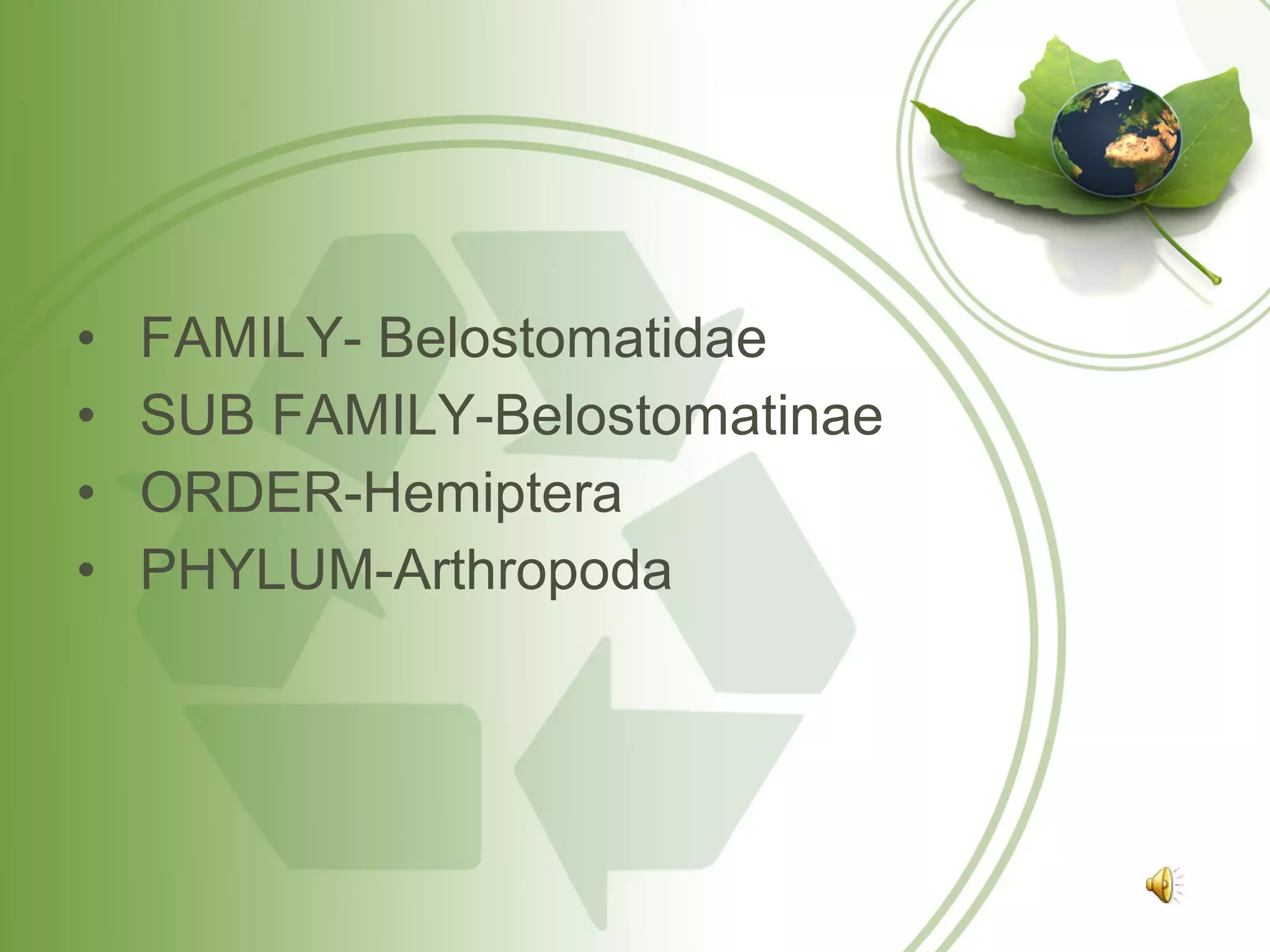 Biomimicry of Abedus Herberti