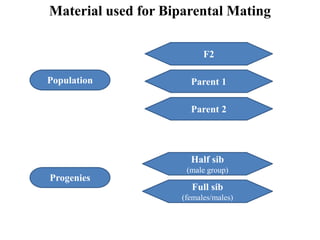 Biparental mating design | PPTX