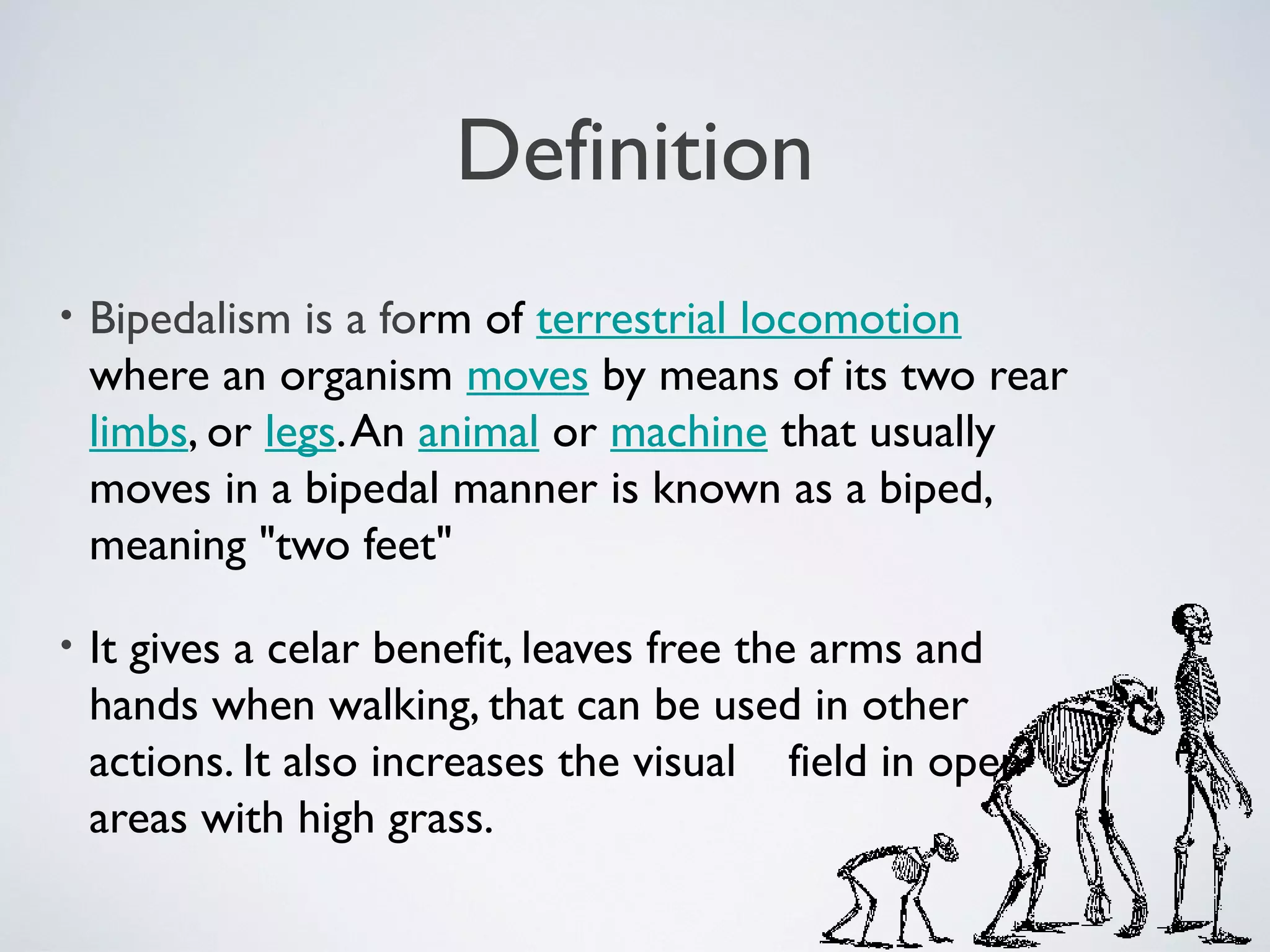 Bipedalism | PPT