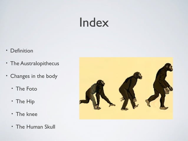 Bipedalism | PPT | Foot Health | Diseases and Conditions