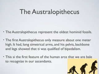 Bipedalism | PPT