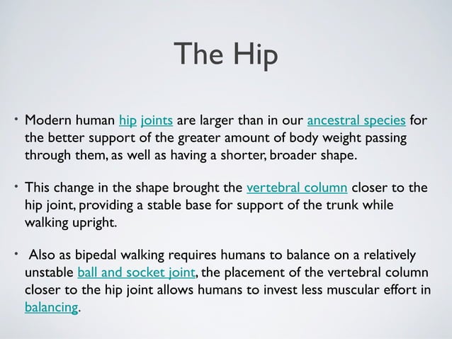 Bipedalism | PPT | Foot Health | Diseases and Conditions