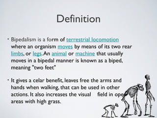 Bipedalism | PPT