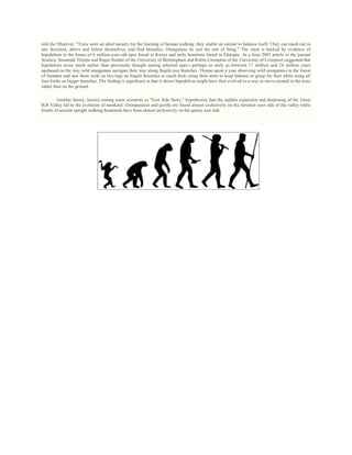 Bipedalism | PDF