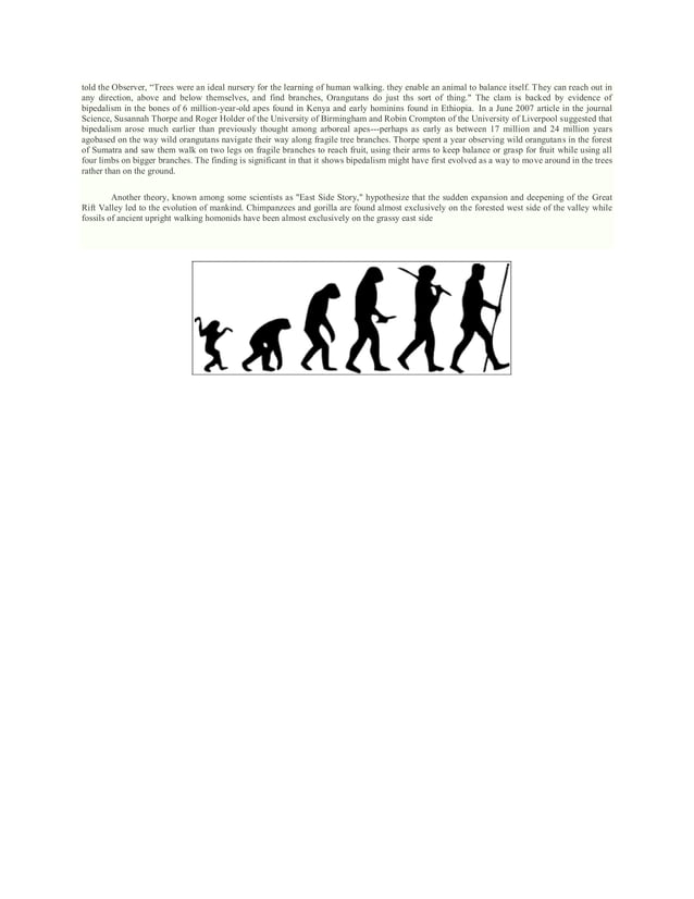 Bipedalism | PDF