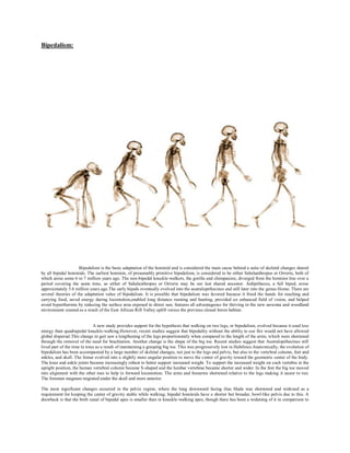 Bipedalism Evolution