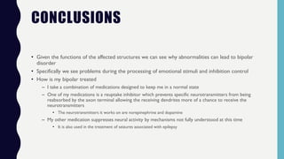Bipolar and My Brain | PDF