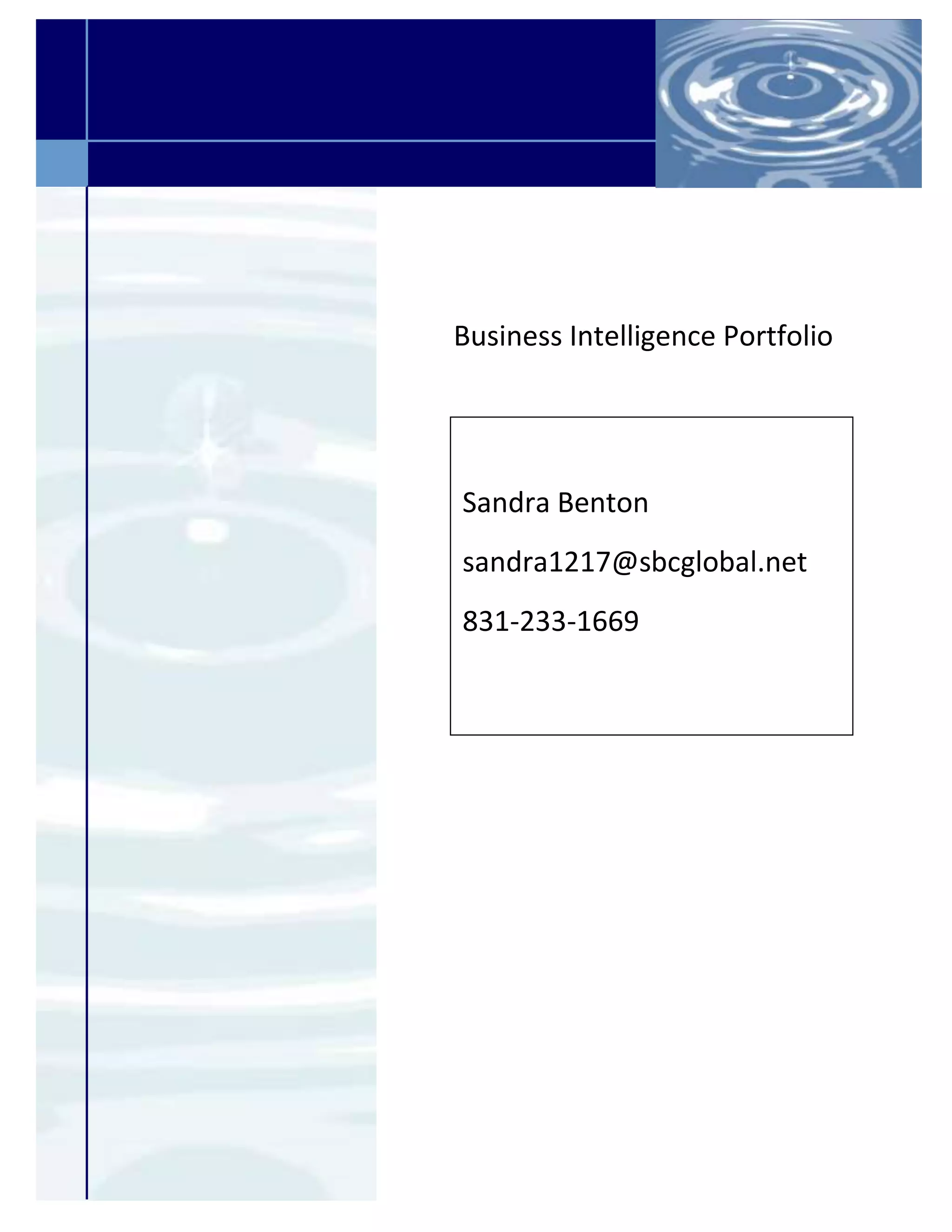 Bi Portfolio | DOCX