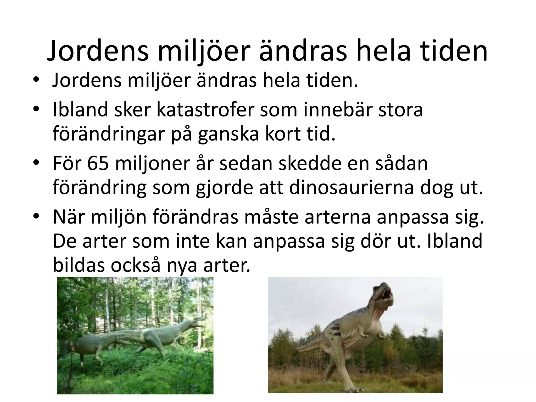 Lena Koinberg | Biologi: Evolution | PPTX