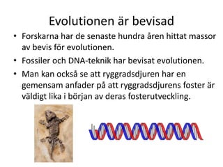 Lena Koinberg | Biologi: Evolution | PPTX