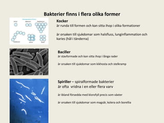 Bi pp virus bakterier celler | PPTX