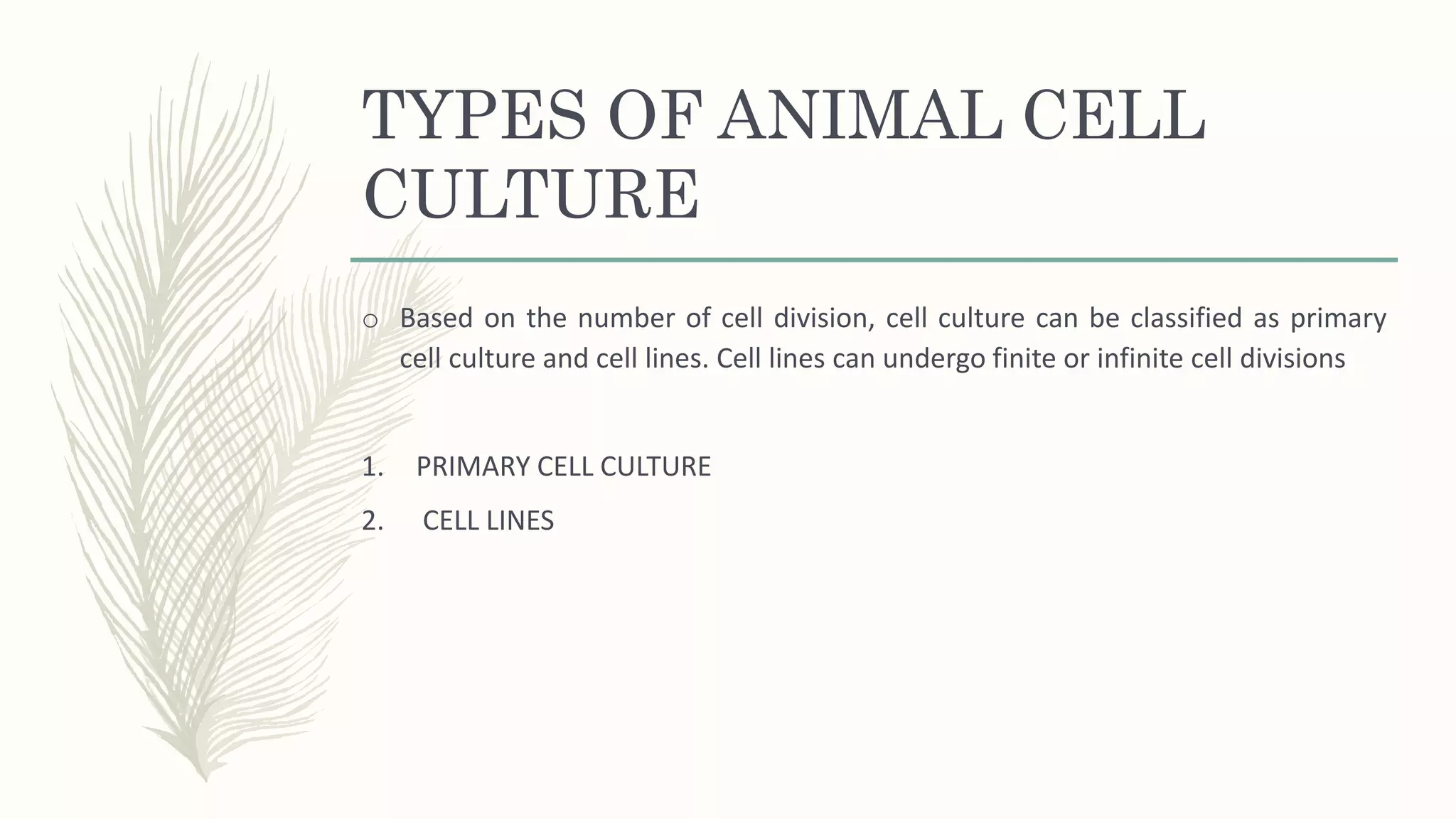 Animal cell culture technique : overview & procedures | PPTX