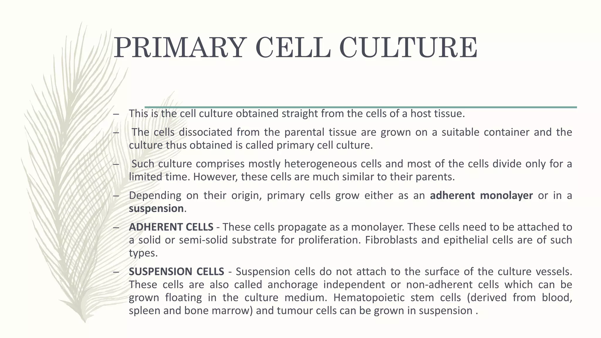 Animal cell culture technique : overview & procedures | PPTX