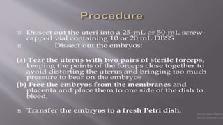 Animal cell culture technique : overview & procedures | PPTX