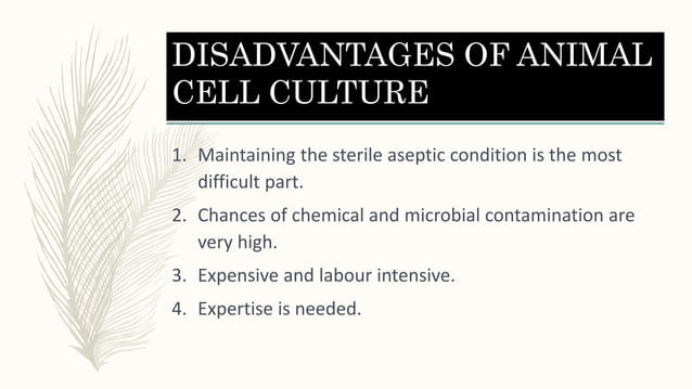 Animal cell culture technique : overview & procedures | PPTX ...