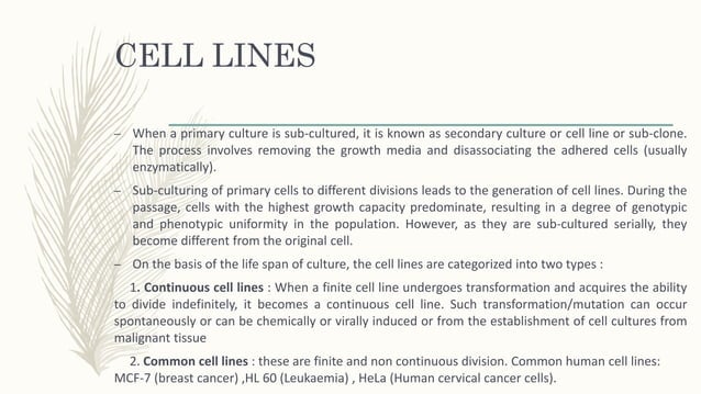 Animal cell culture technique : overview & procedures | PPTX ...