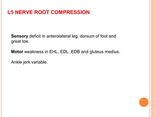 Bipul sir pivd presentation | PPTX