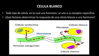 Biquimica del sistema endocrino | PPTX