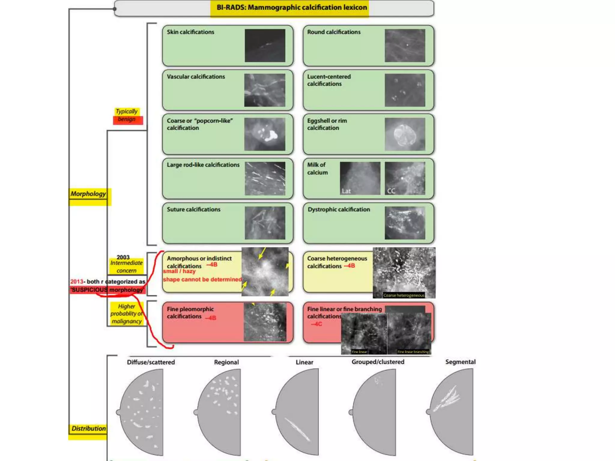 BIRADS, Breast Ultrasound, mamography | PPTX