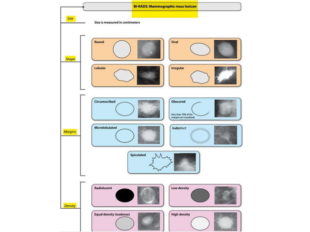 BIRADS, Breast Ultrasound, mamography | PPTX