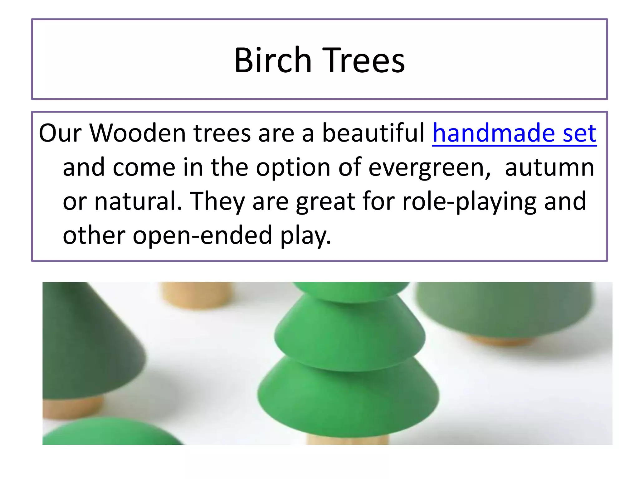 birchandbug.com.pptx