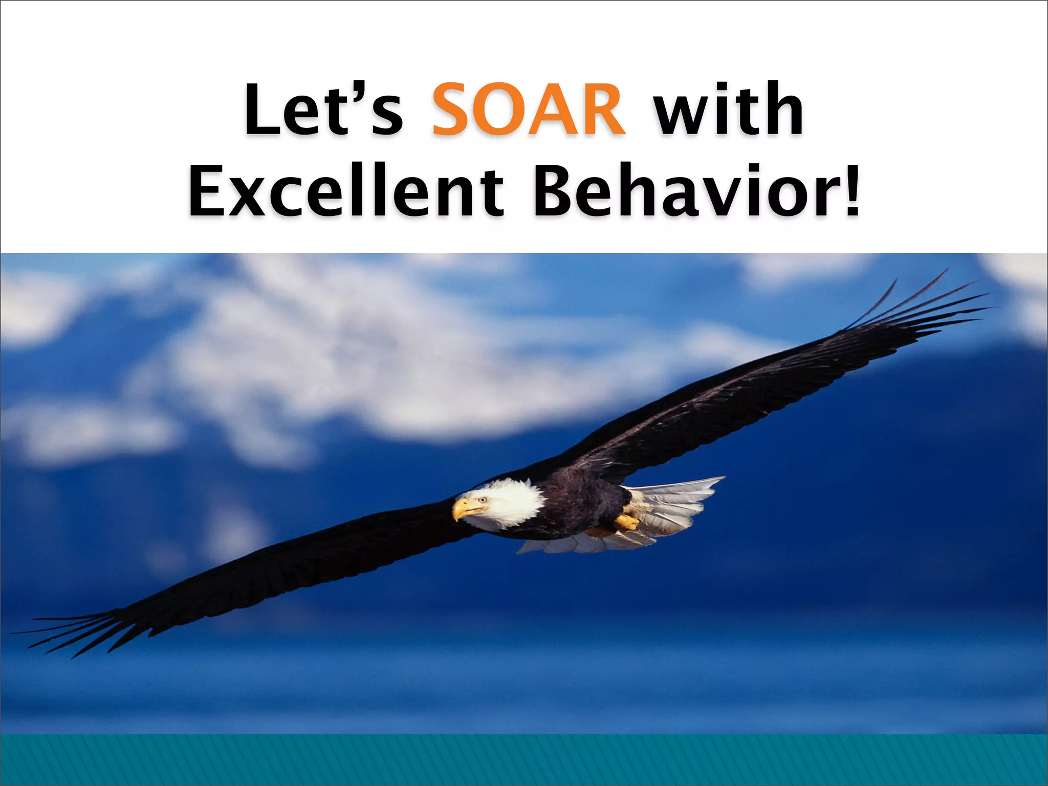 Birchbehavior2 | PPT