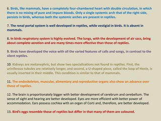 Birds are glorified reptiles, Archaeopteryx, compare Archaeopteryx and ...