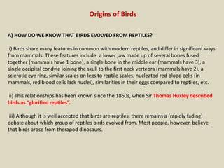 Birds are glorified reptiles, Archaeopteryx, compare Archaeopteryx and ...